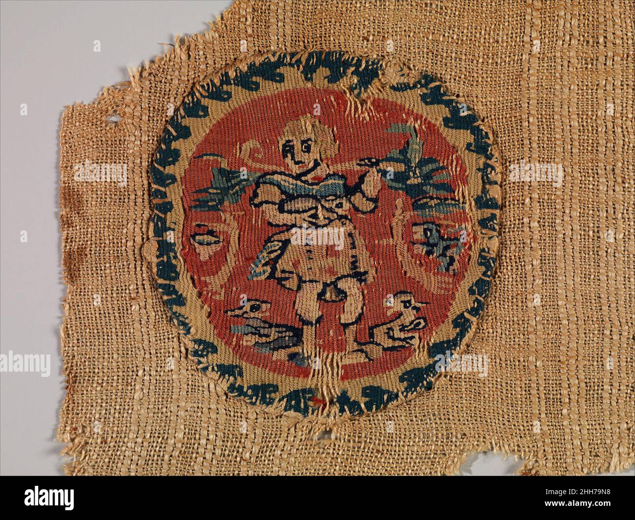 Red orbiculi hi-res stock photography and images - Alamy