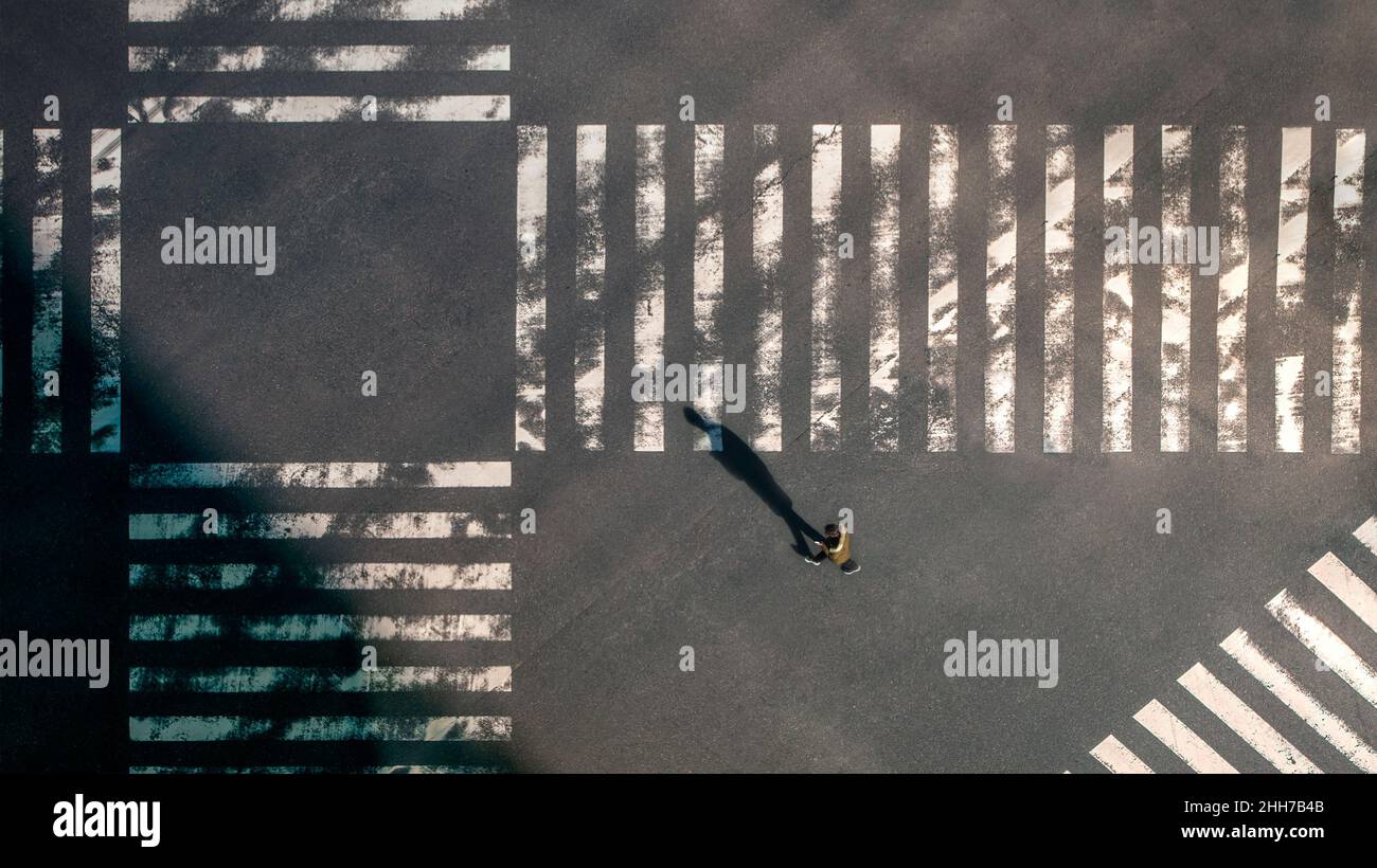 Elevated view over a man using smartphone on pedestrian crossing in ...