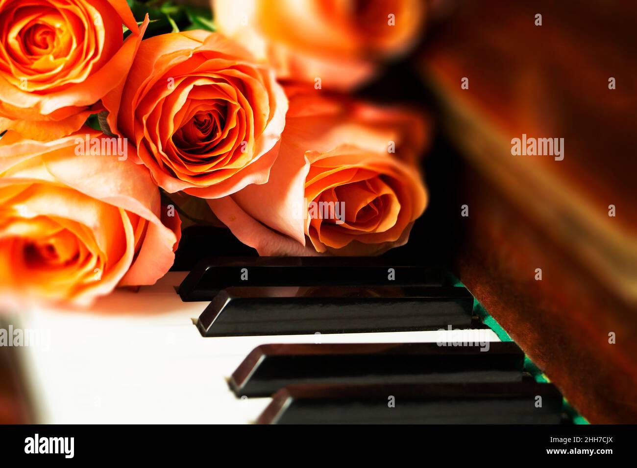 Bouquet of pink roses on the piano keyboard, romantic atmosphere. A ...