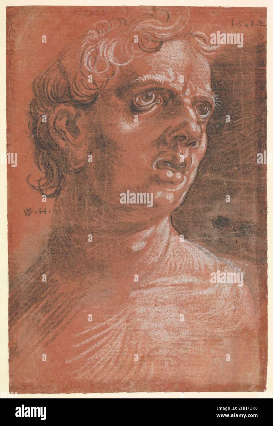 Bust of a Man 1522 Wolfgang Huber German This expressive drawing by ...