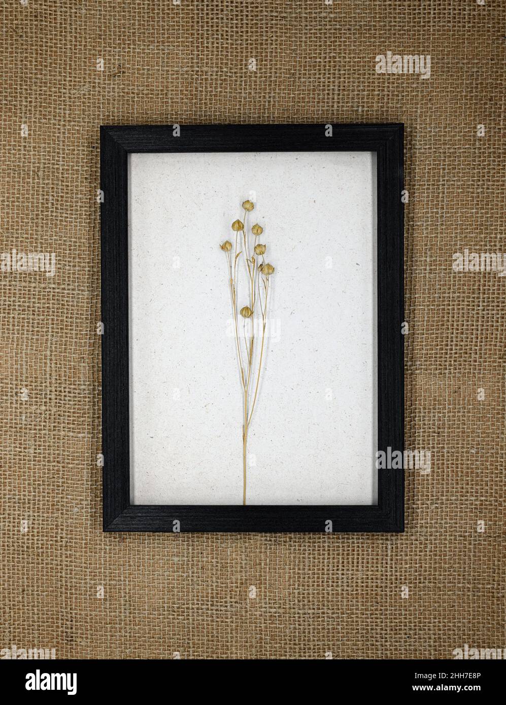 Wooden frame on a background of burlap. Inside the frame is dry flax ...