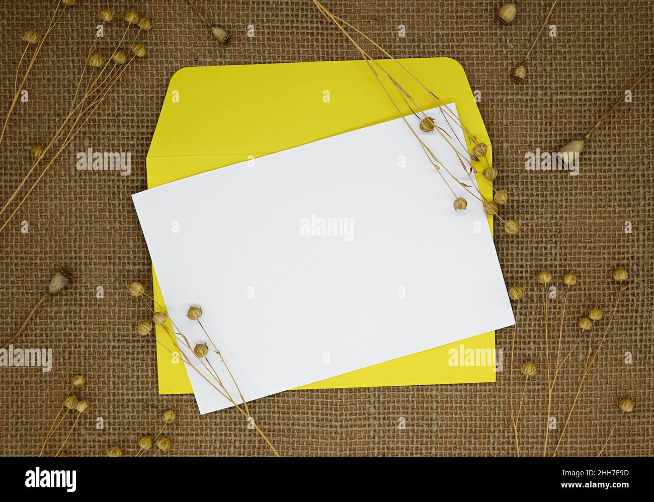 Open yellow envelope blank paper hi-res stock photography and images ...