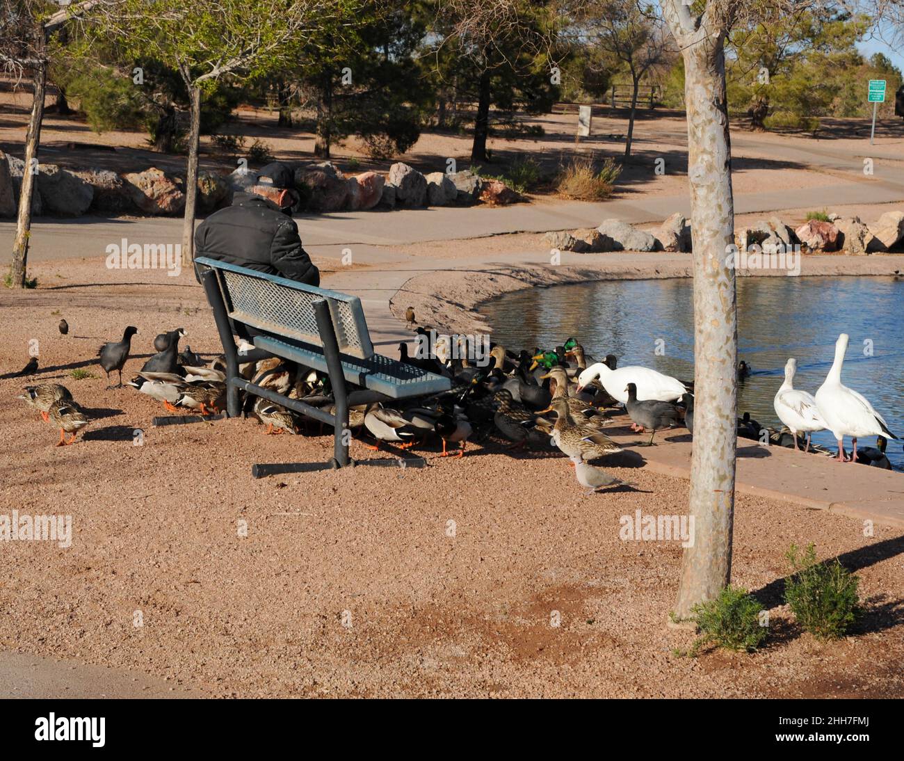 Long sloping forehead hi-res stock photography and images - Alamy