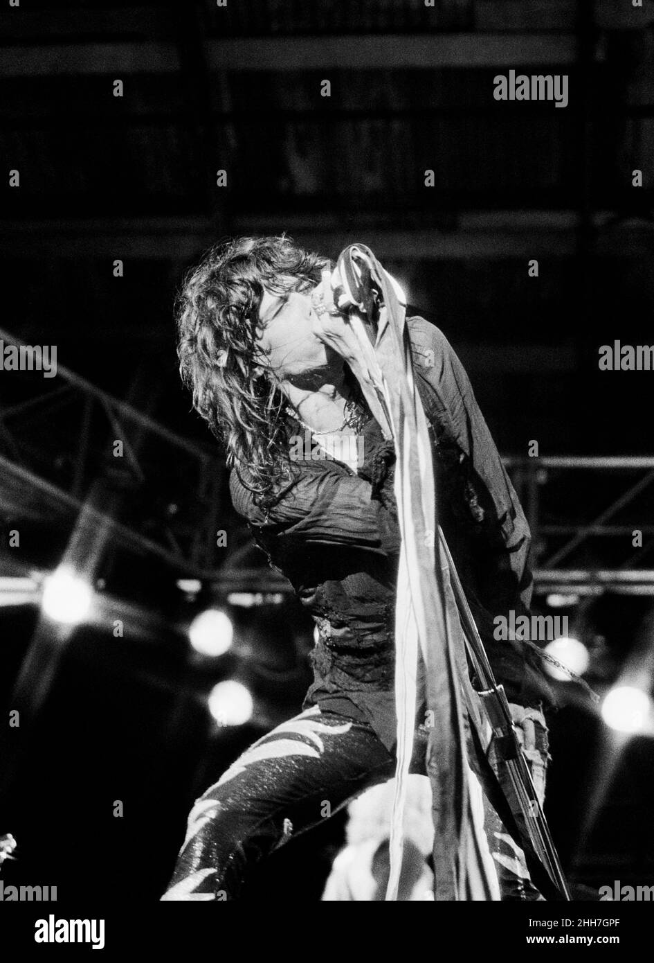 Steven Tyler Black And White