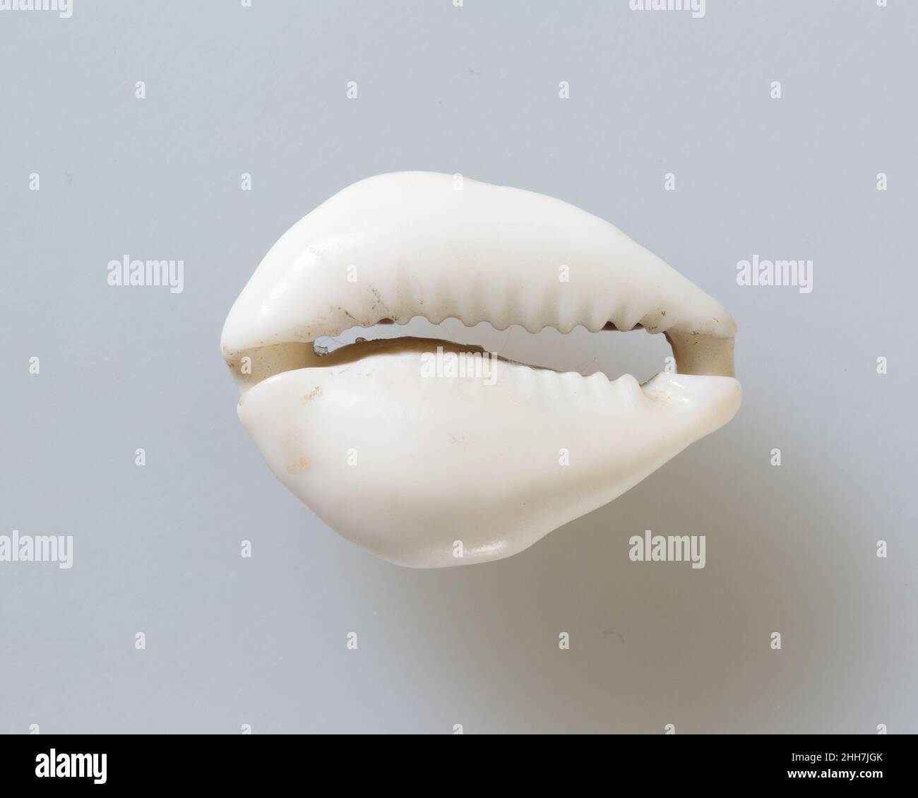 Cartonnage ornaments hi-res stock photography and images - Alamy