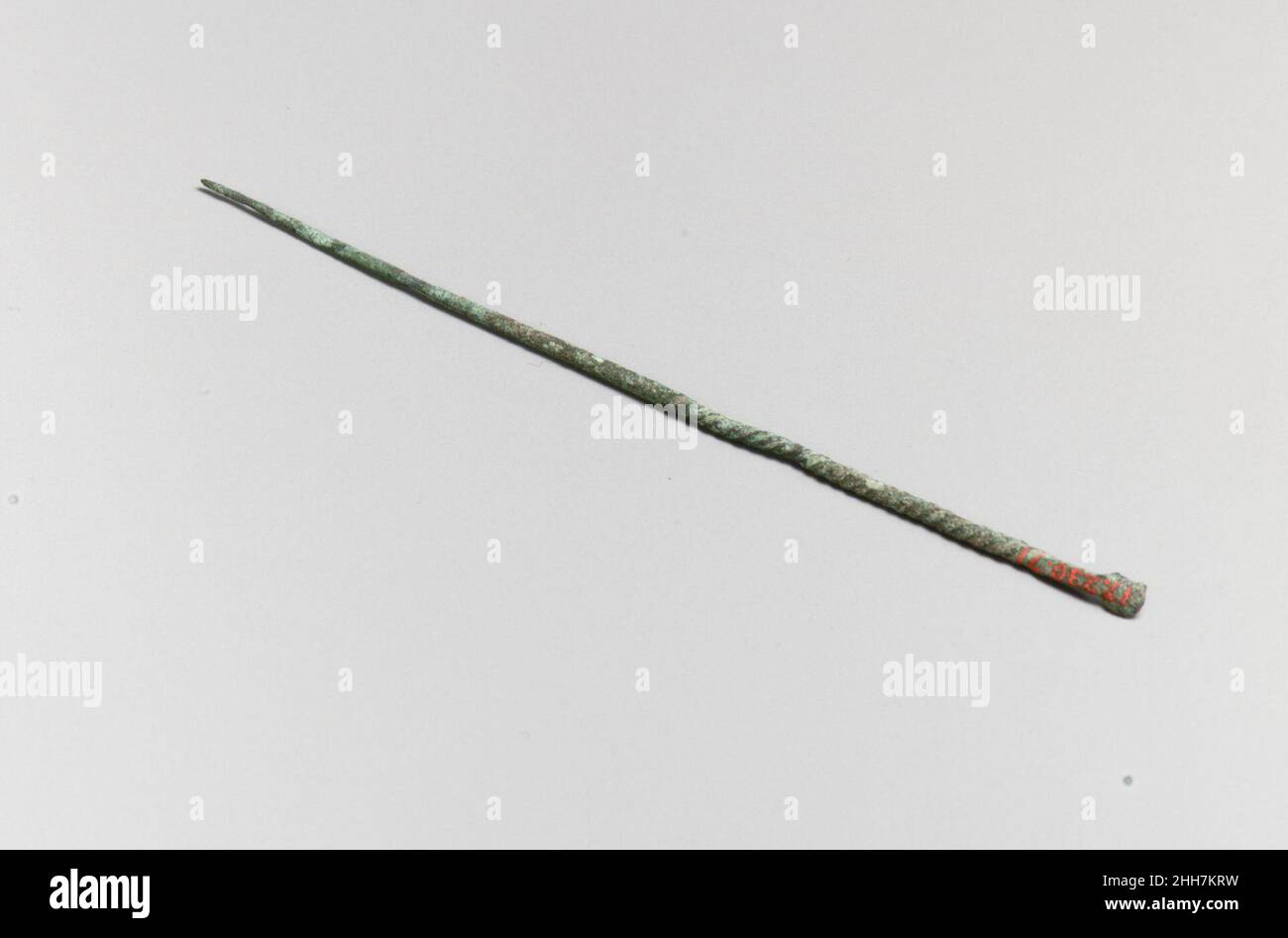 Bronze ligula hi-res stock photography and images - Alamy