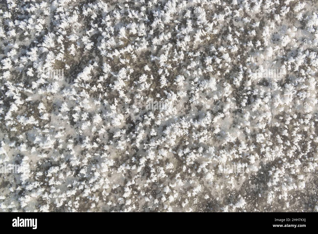 Frozen winter ground texture. Ice background Stock Photo - Alamy