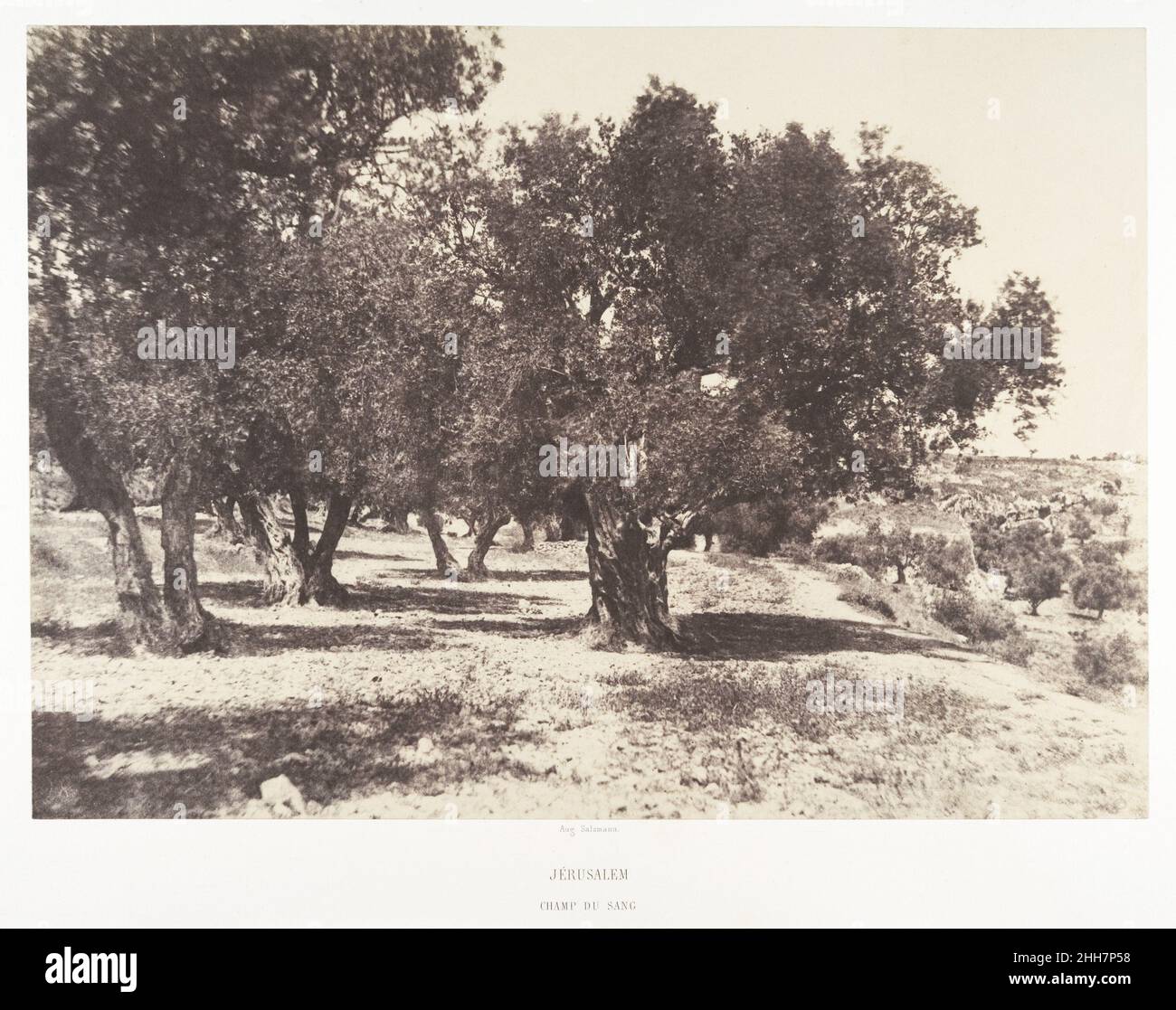 Jérusalem, Champ du sang 1854 Auguste Salzmann French. Jérusalem, Champ ...