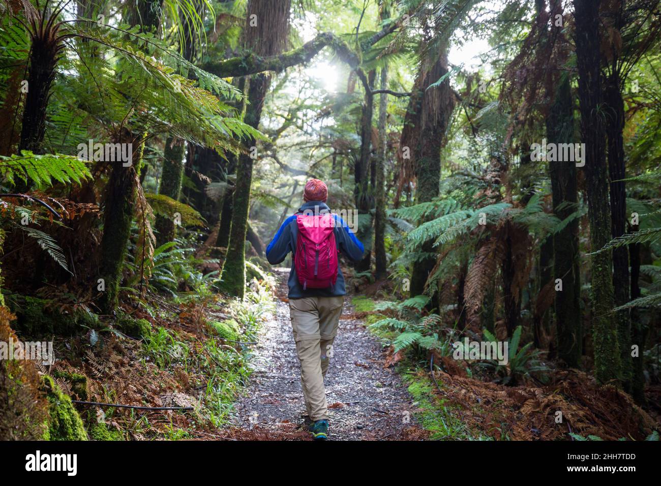 Hiking and tramping in New Zealand. Travel and adventure concept Stock ...