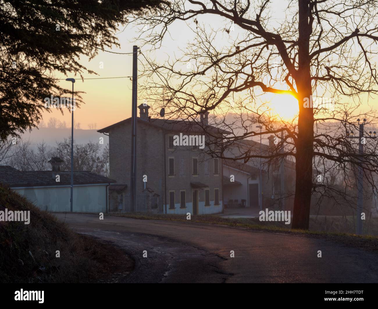 senior caucasian wine maker pruning grapes vines in the organic farm ...