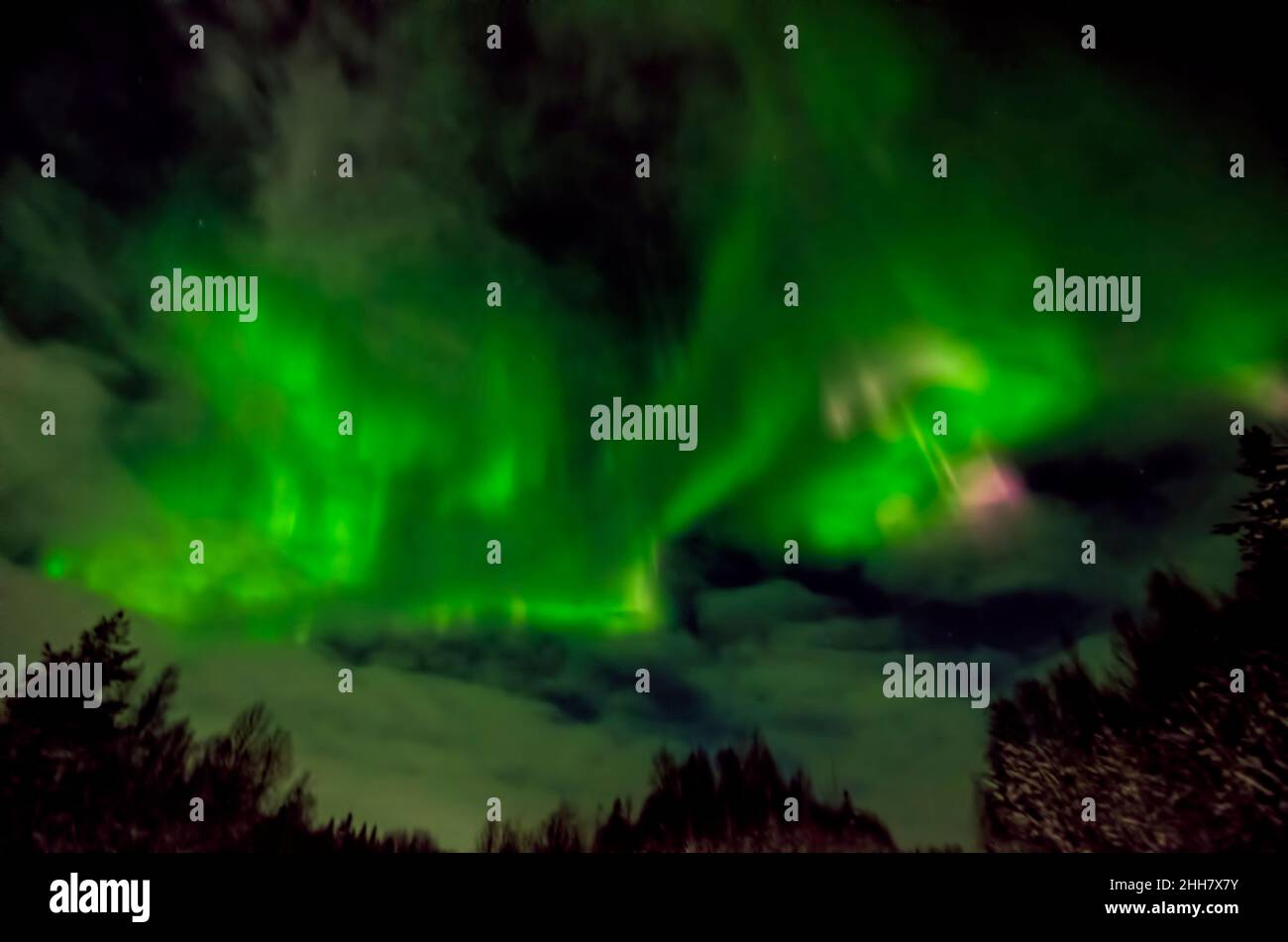 Skyscape over forest hi-res stock photography and images - Alamy