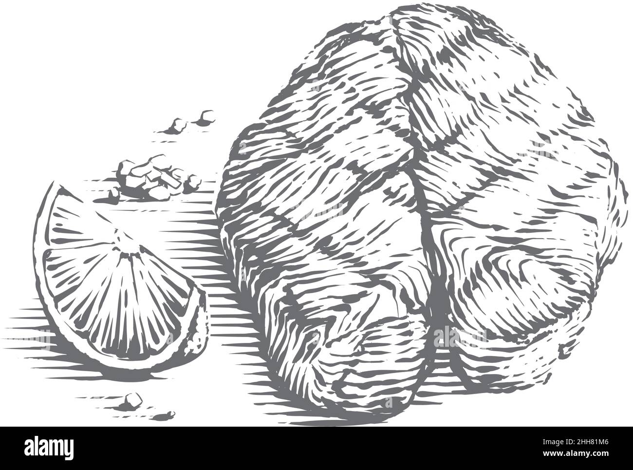 fish steak hand drawing sketch engraving illustration style Stock ...