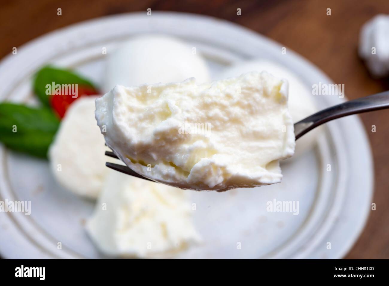Tasing of fresh italian cheese mozzarella di buffalo close up Stock ...