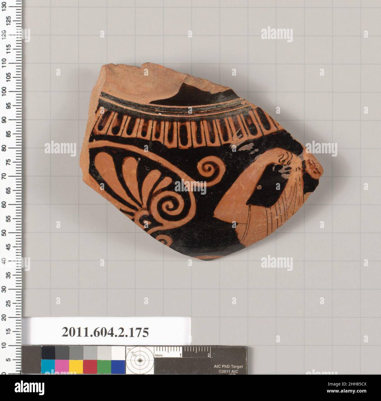 Terracotta fragment of a stamnos (jar) third quarter of the 5th century ...