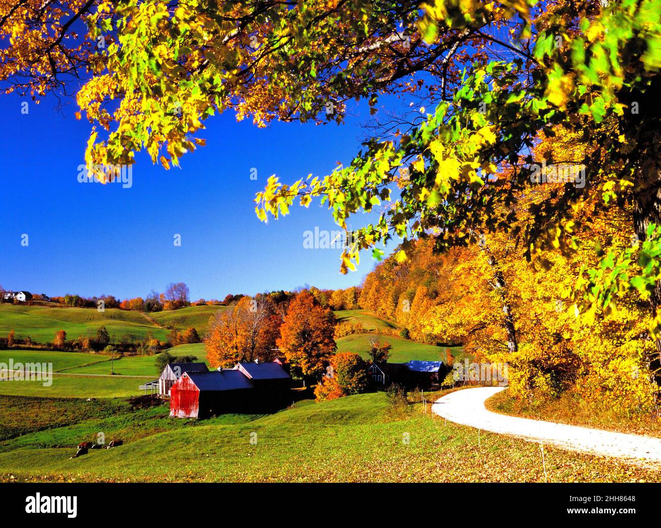 Jenne hi-res stock photography and images - Alamy