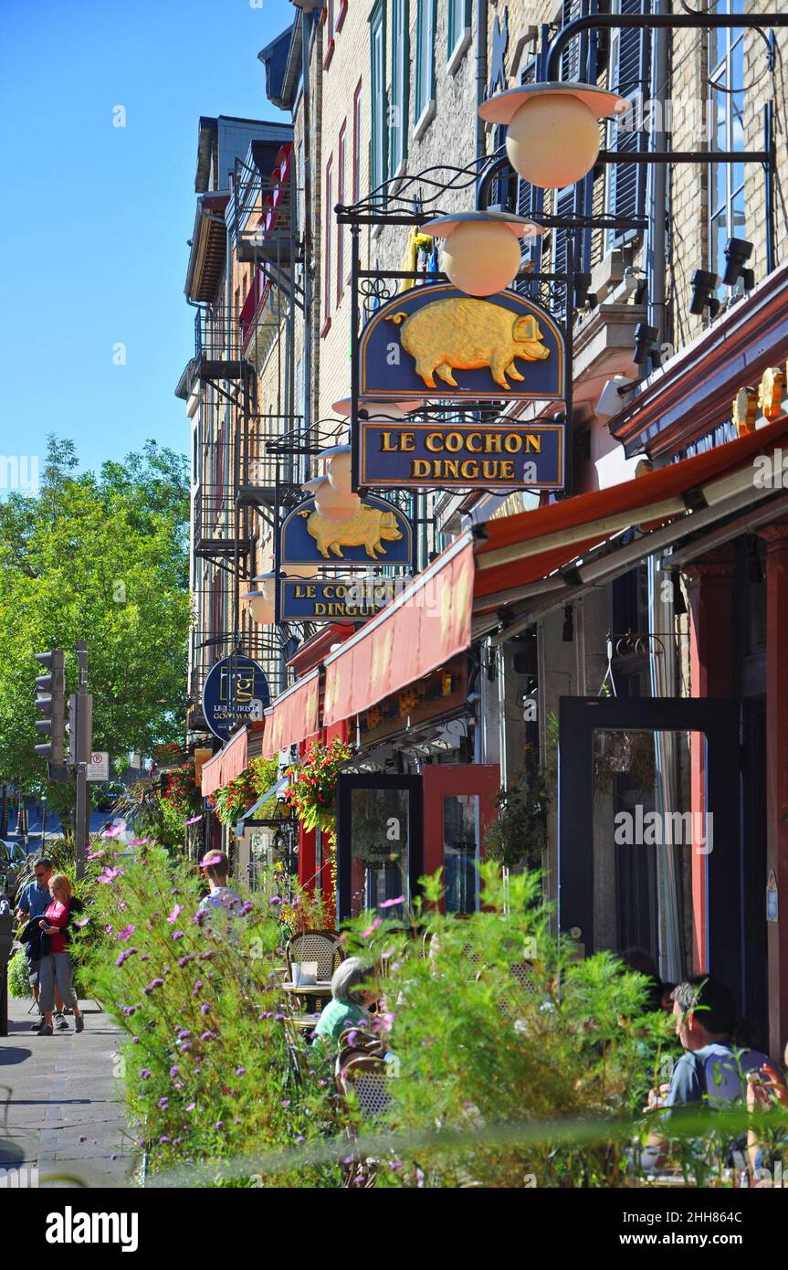 Cochon in hi-res stock photography and images - Alamy