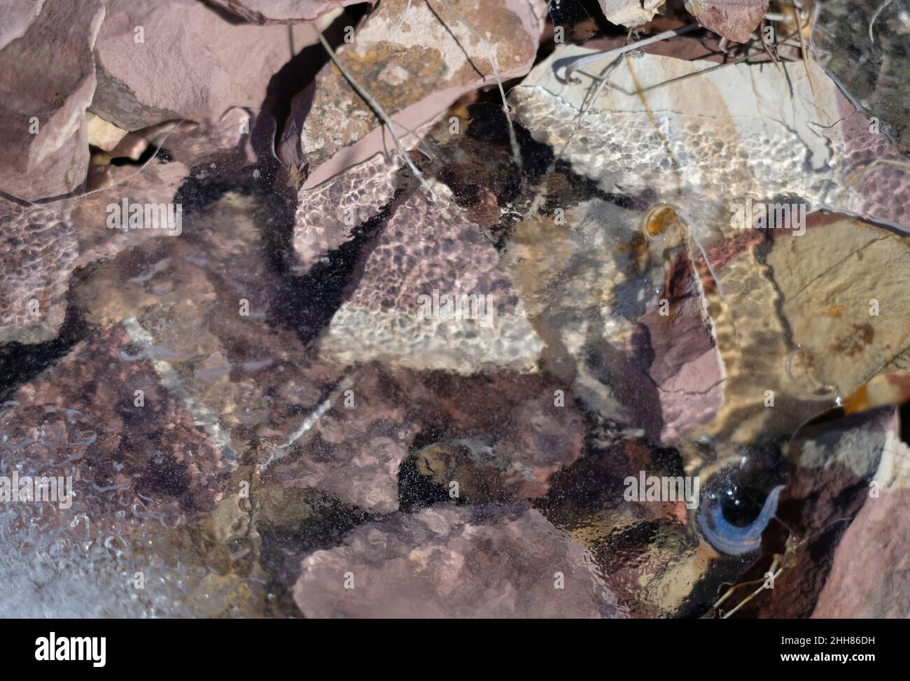 The melting of the snow blanket The silk veil of the ice The piece of ...