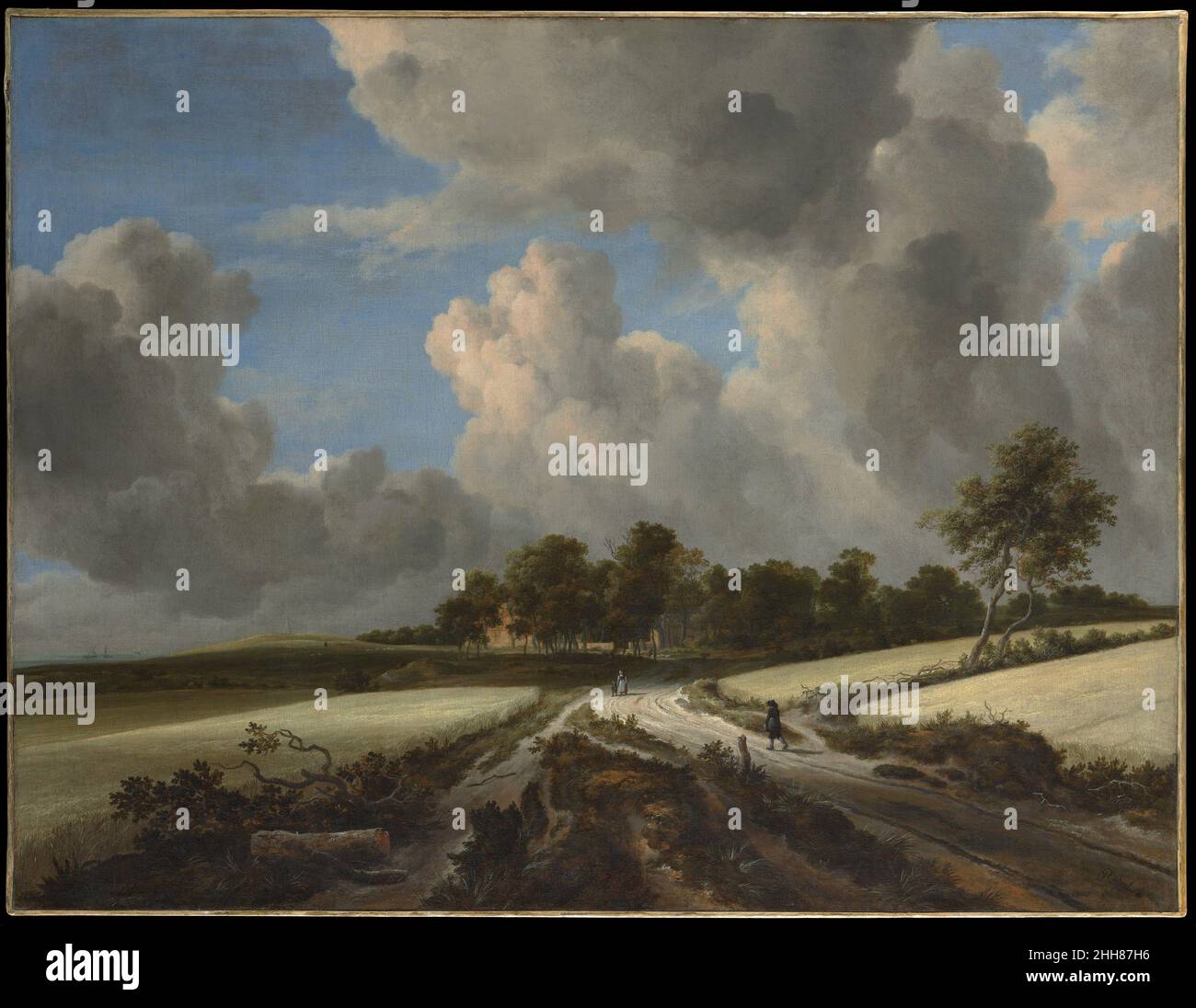 Wheat Fields ca. 1670 Jacob van Ruisdael Dutch Twenty-seven views of ...