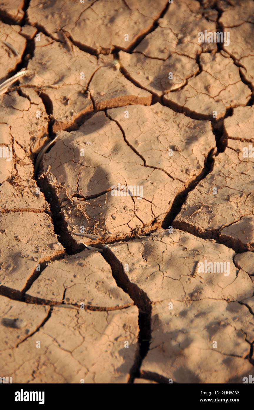 Drought-induced cracking of soils in the time of climate change, Mount ...