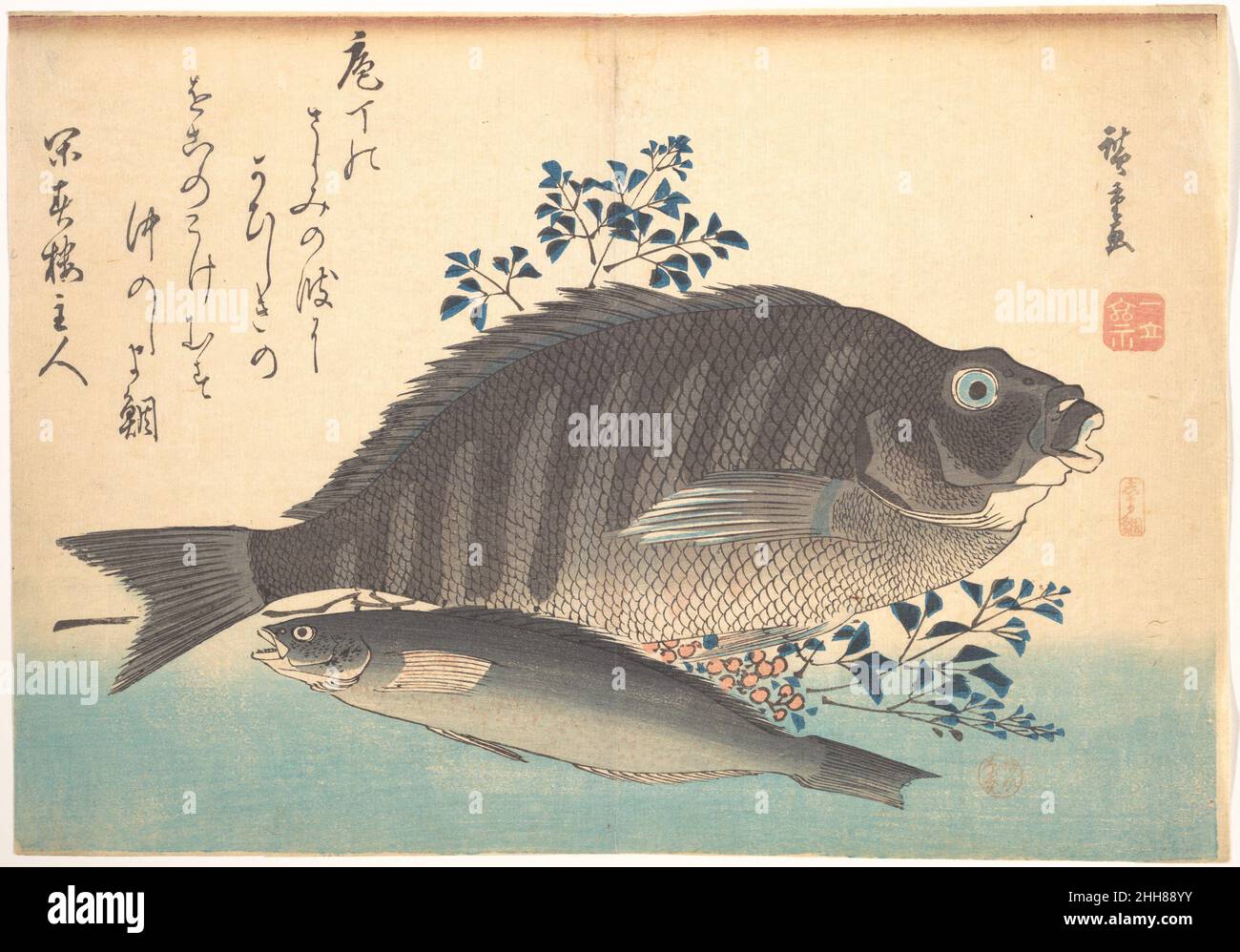 Shimadai and Ainame Fish, from the series Uozukushi (Every Variety of ...