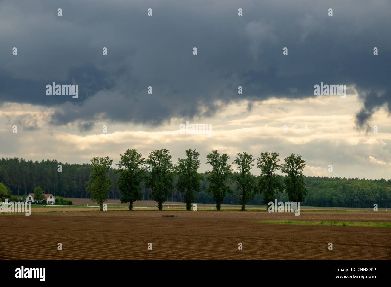 Beauty of horizon hi-res stock photography and images - Alamy