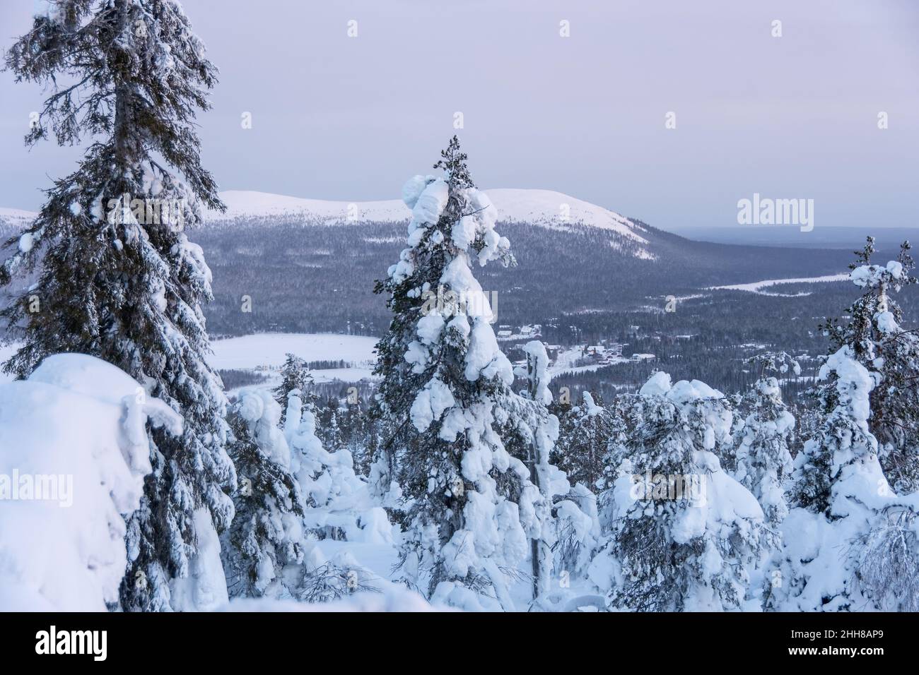 snowy trees in a fell landscape in Finnish Lapland Stock Photo - Alamy