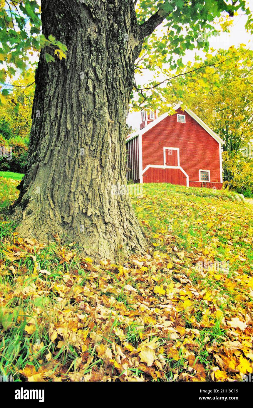 Red barn in vermont hi-res stock photography and images - Alamy
