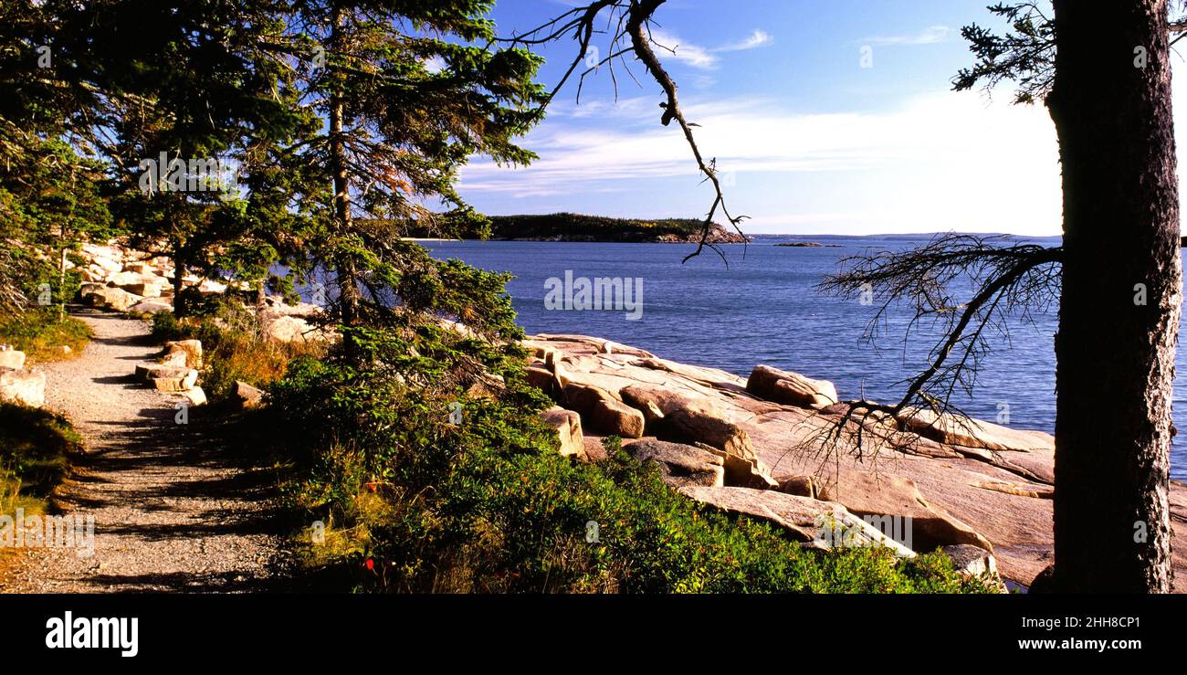 Ocean path trail at Acadia National Park Stock Photo - Alamy