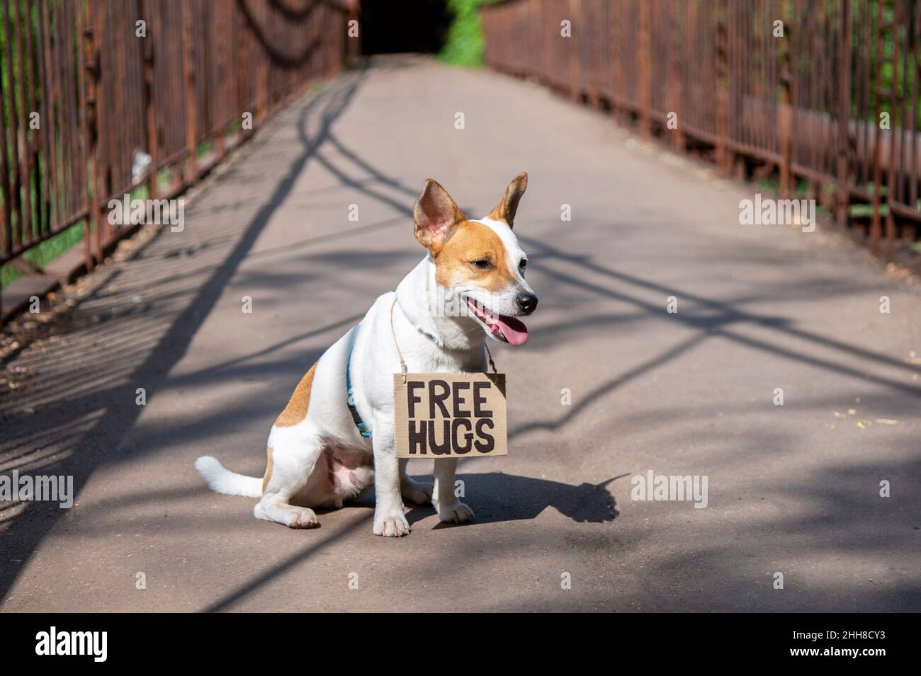 Cartoon dog on fence hi-res stock photography and images - Alamy