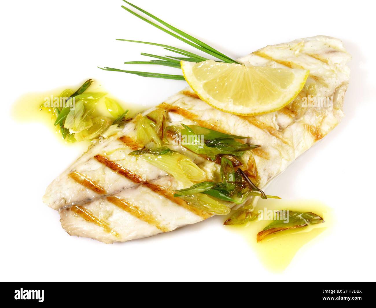 Single Grilled Fish Fillet - Grey Gilthead Seabream isolated on white ...