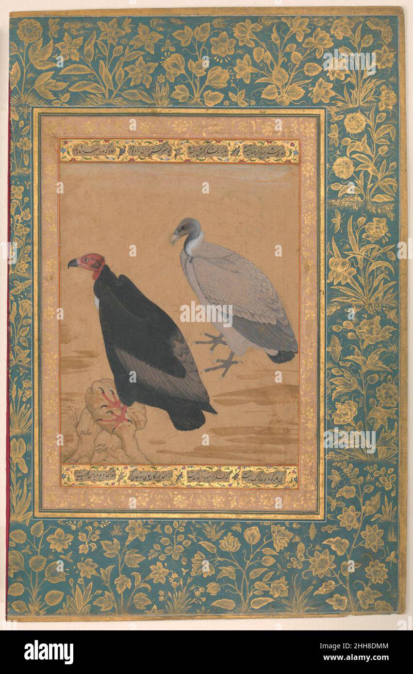 "Red-Headed Vulture and Long-Billed Vulture", Folio from the Shah Jahan ...