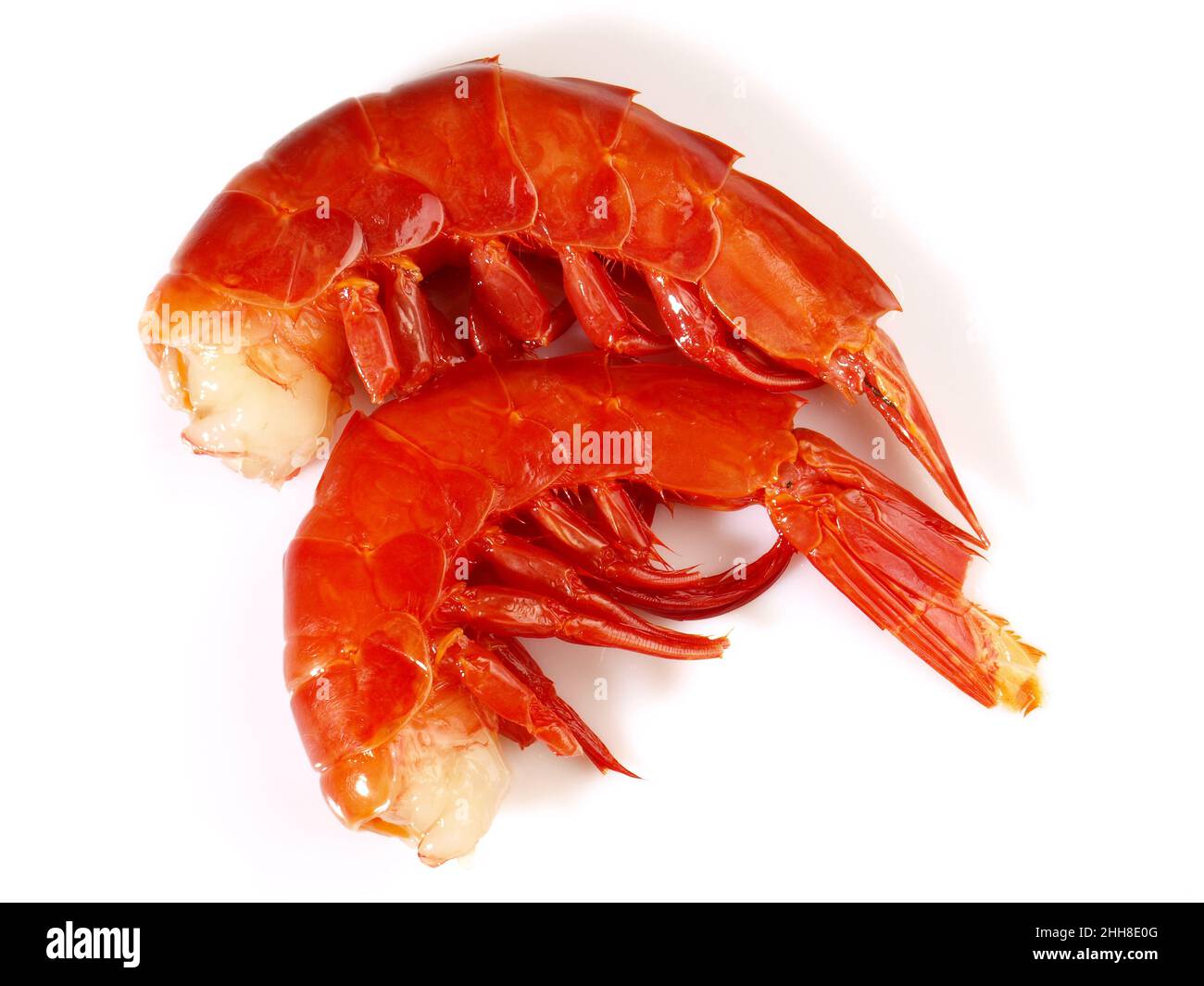 Carabiniera Prawns - Carabinero Shrimps isolated on white Background ...