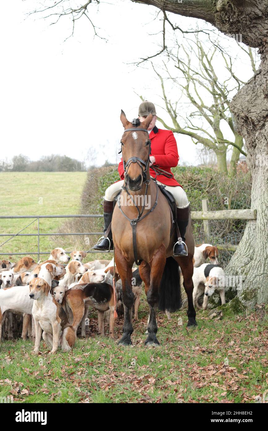 trail hunting in gloucestershire Stock Photo - Alamy