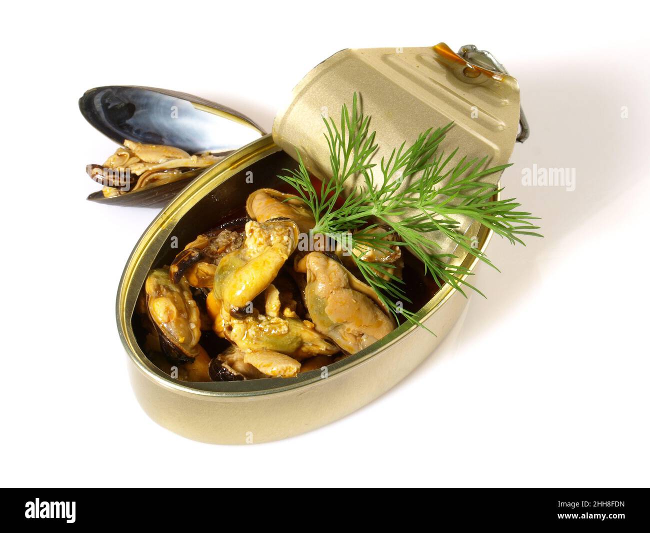 Canned Mussels in a Tin isolated on white Background Stock Photo - Alamy
