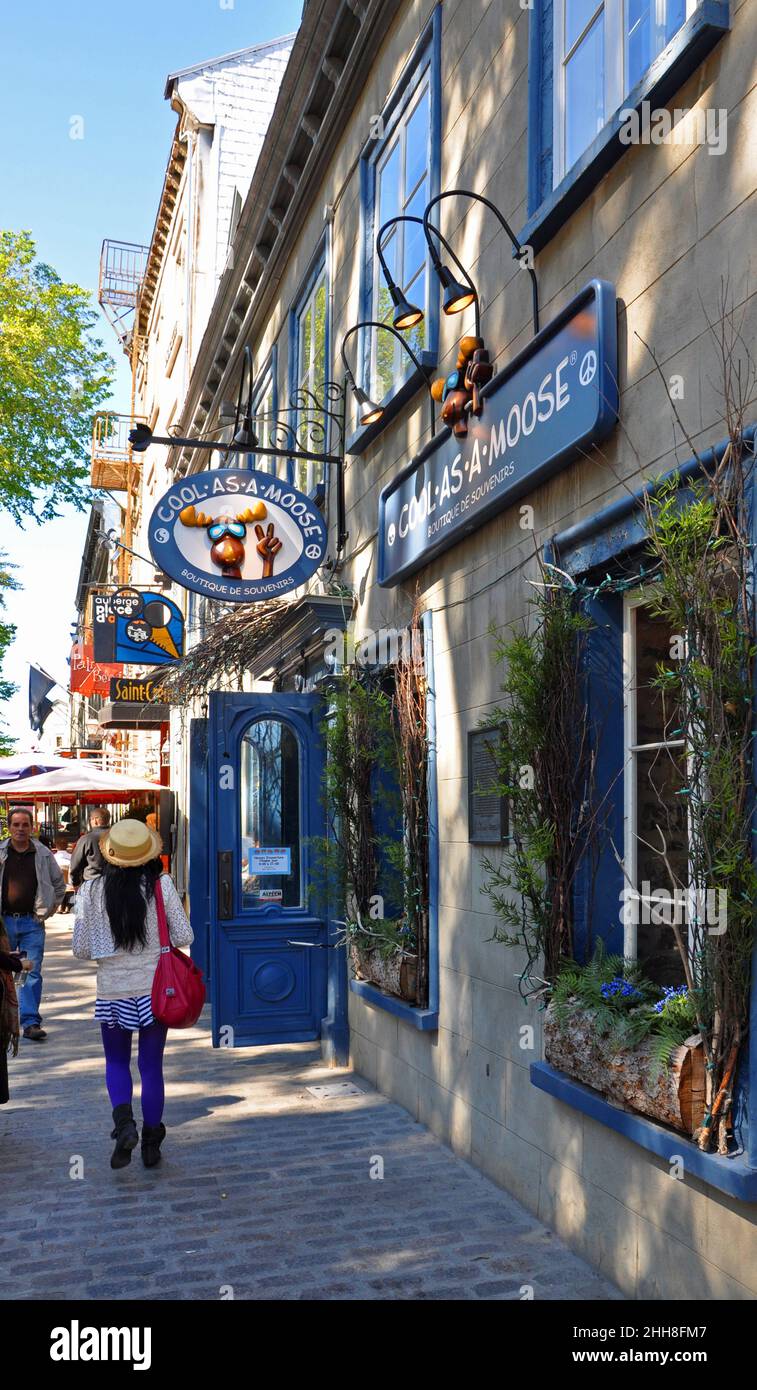 Moose canada street hi-res stock photography and images - Alamy