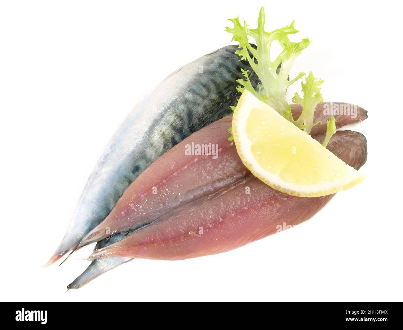Pilchard Fillet - Fish on white Background Stock Photo - Alamy