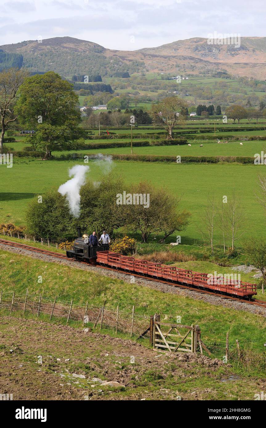 "Winifred" near Dolfawr with a train of slate wagons Stock Photo - Alamy