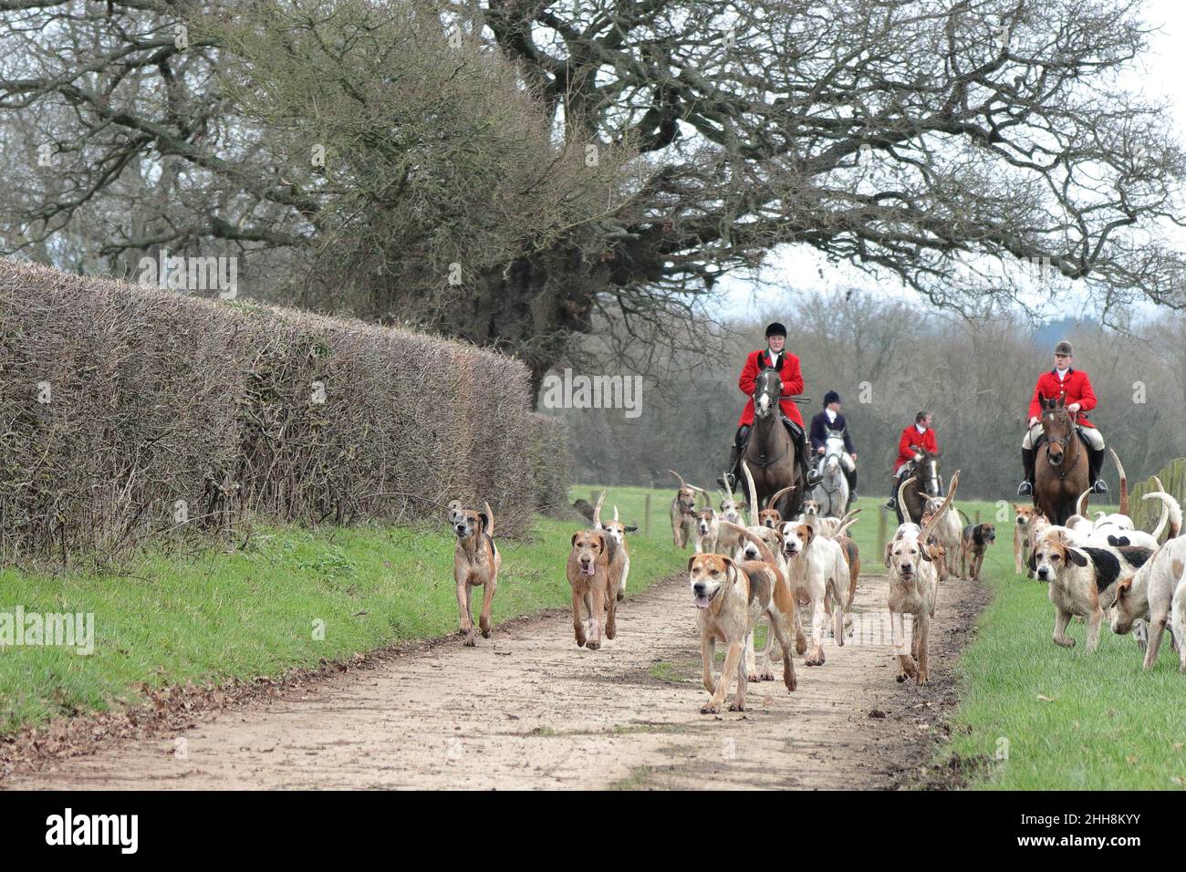 trail hunting in gloucestershire Stock Photo - Alamy