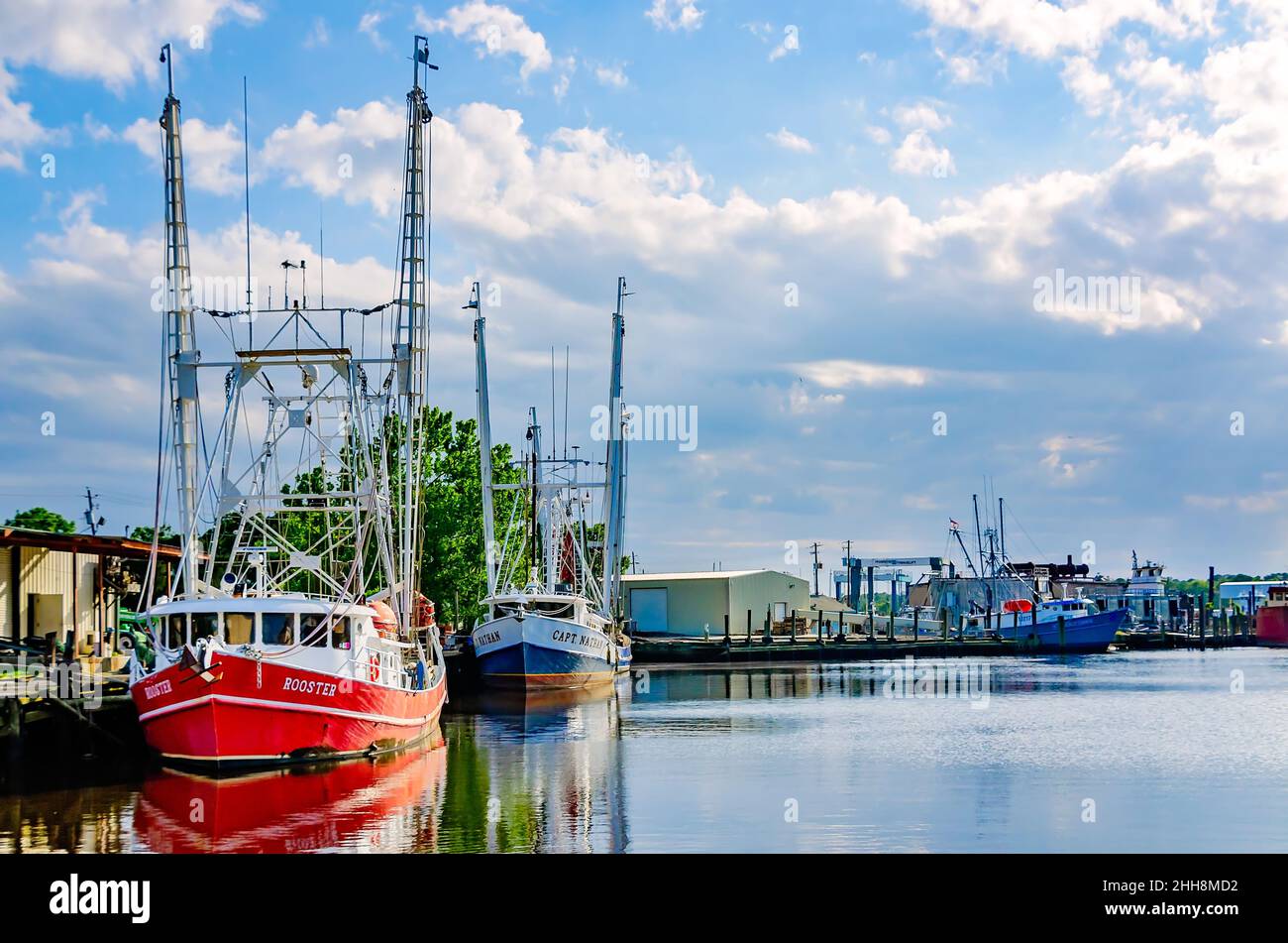 Shrimp boats are pictured, April 27, 2021, in Bayou La Batre, Alabama ...