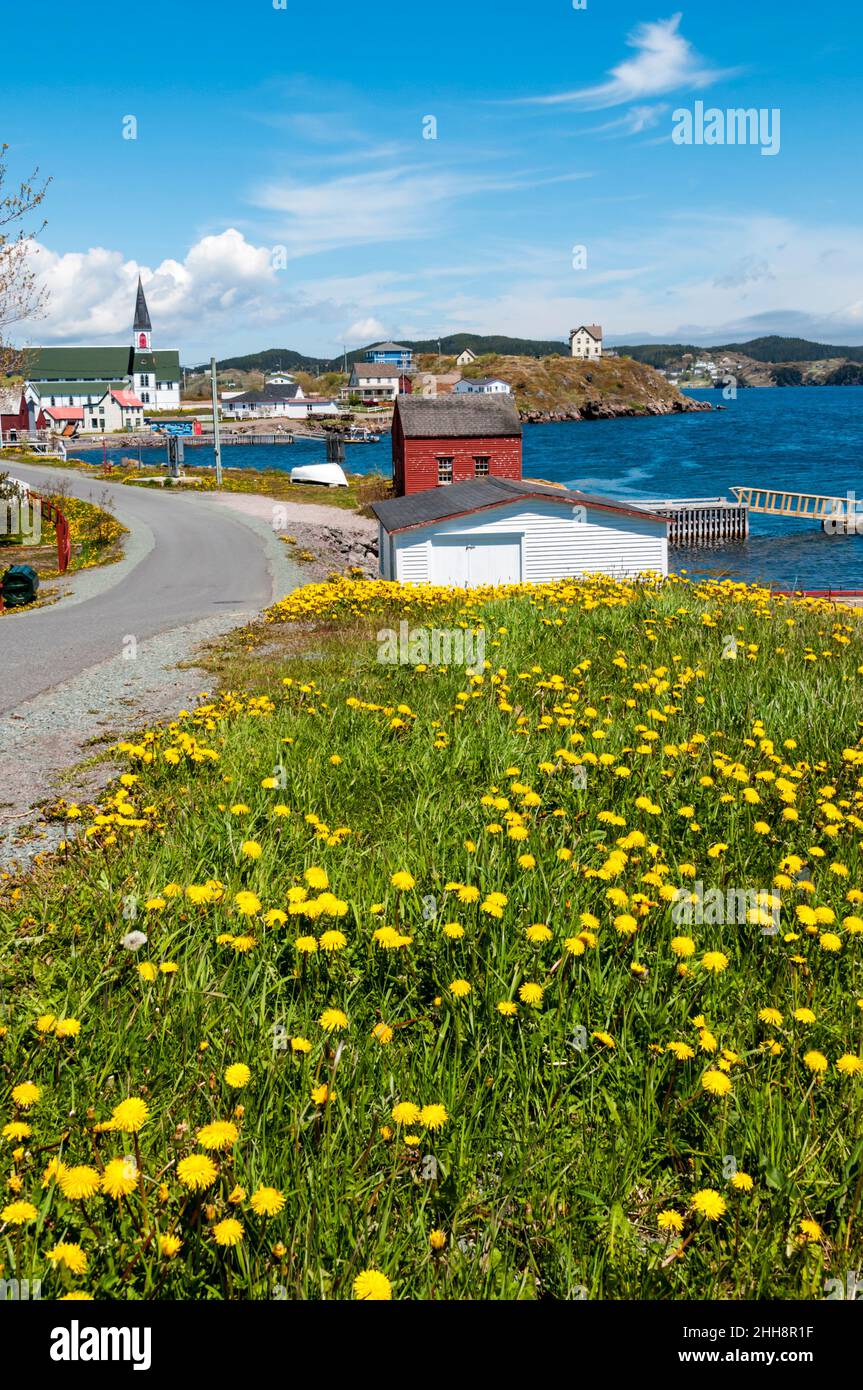 The historic Newfoundland town of Trinity on Trinity Bay near the north ...