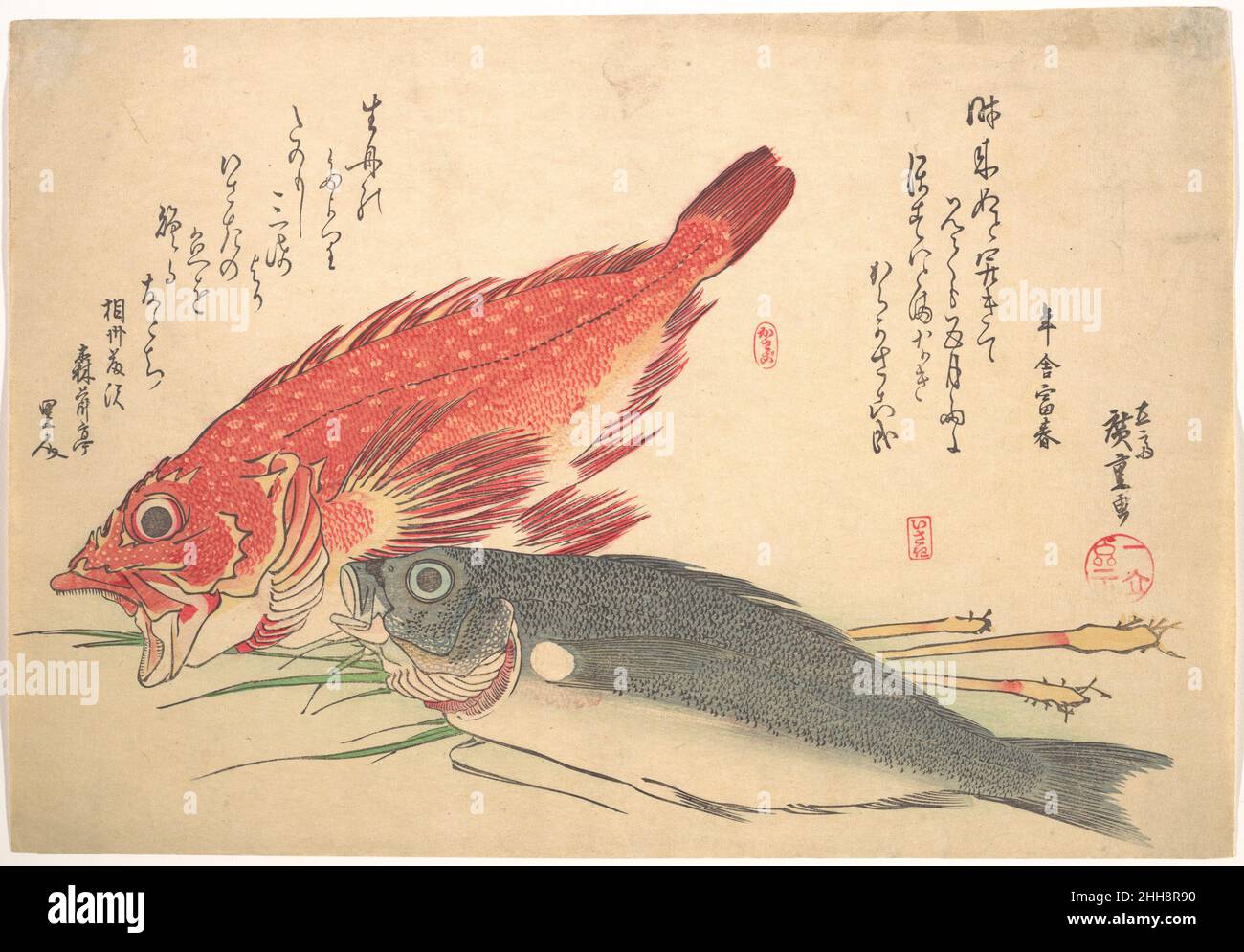 Isaki and Kasago Fish, from the series Uozukushi (Every Variety of Fish ...