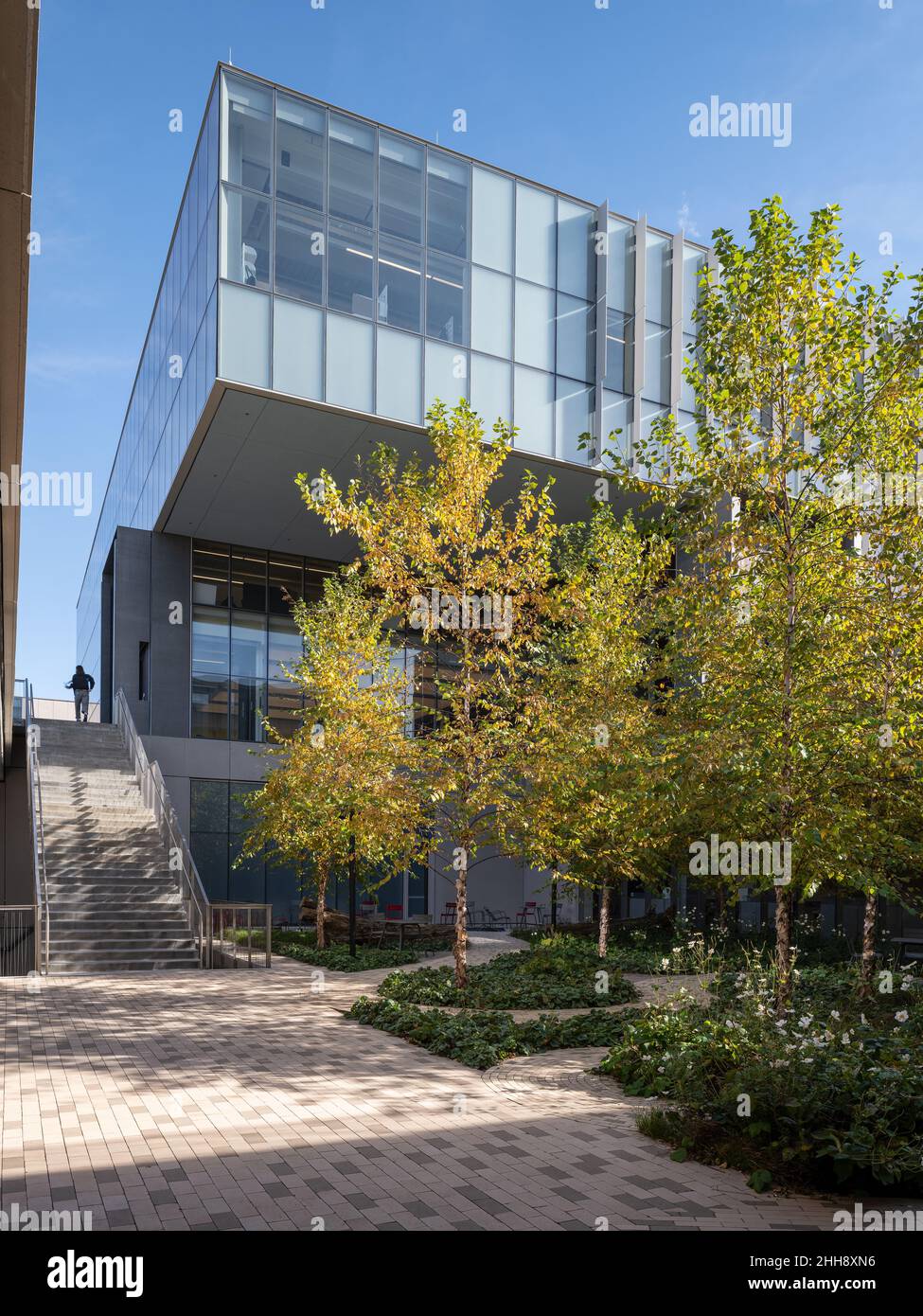 Weil Hall at Washington University in St. Louis Stock Photo - Alamy
