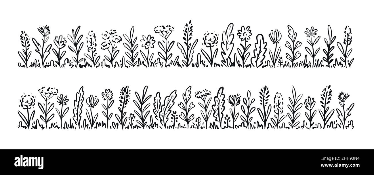 Wild meadow grasses, wildflowers sketch. Herbal plants simple drawing ...