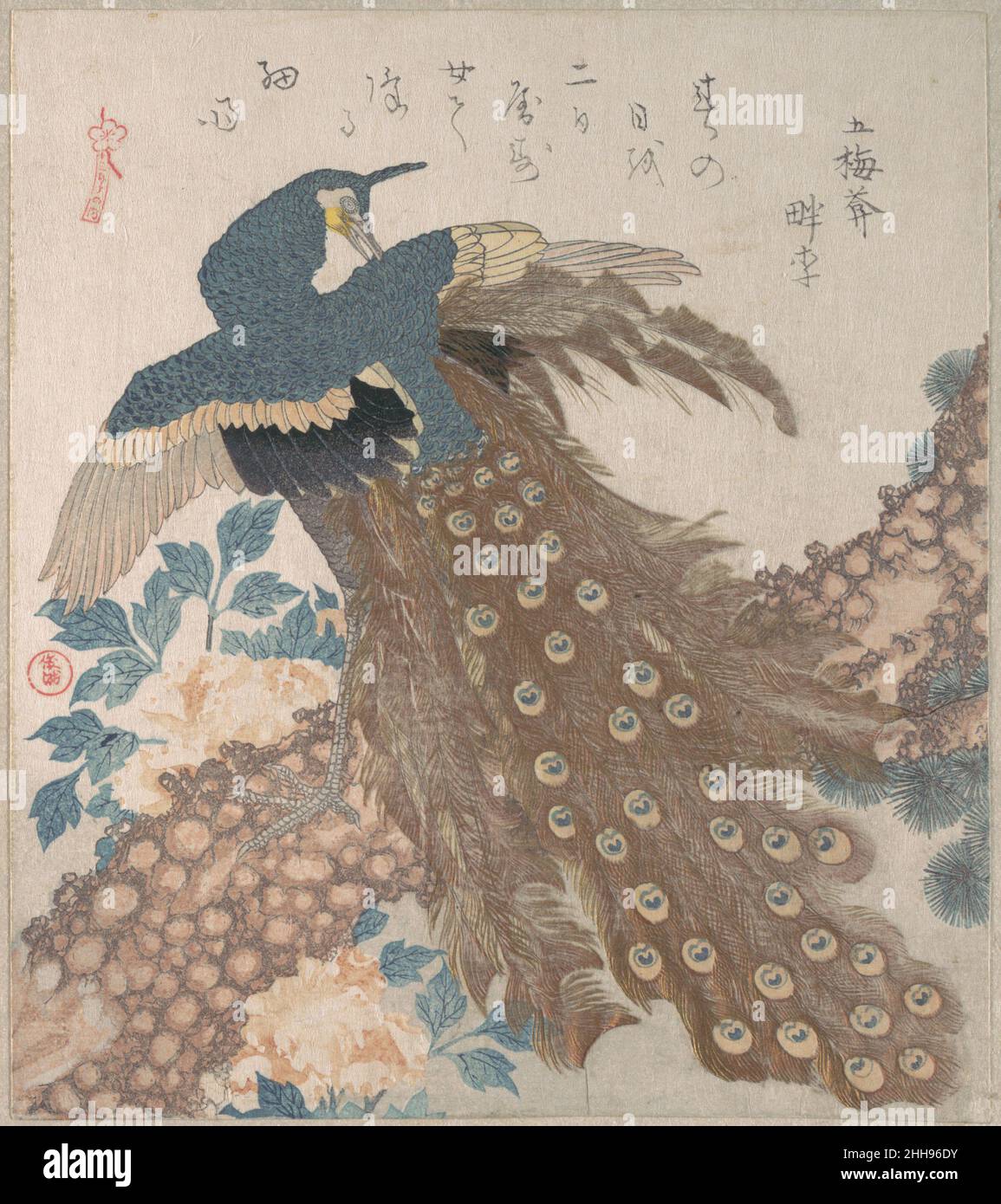 Peacock on Pine Tree and Peonies, from the series Three Sheets (Mihira ...