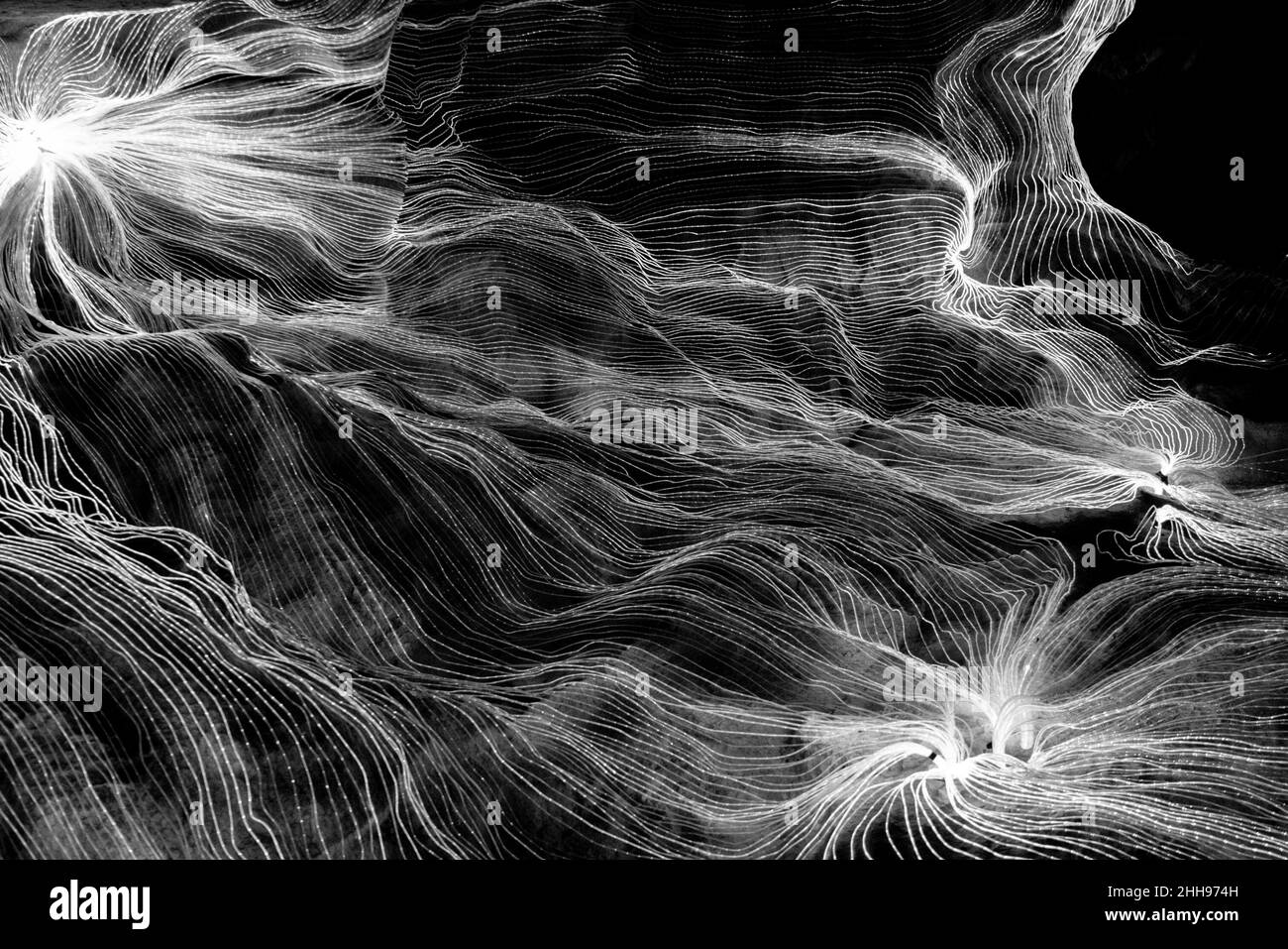 Abstract structure with connecting dots Black and White Stock Photos ...