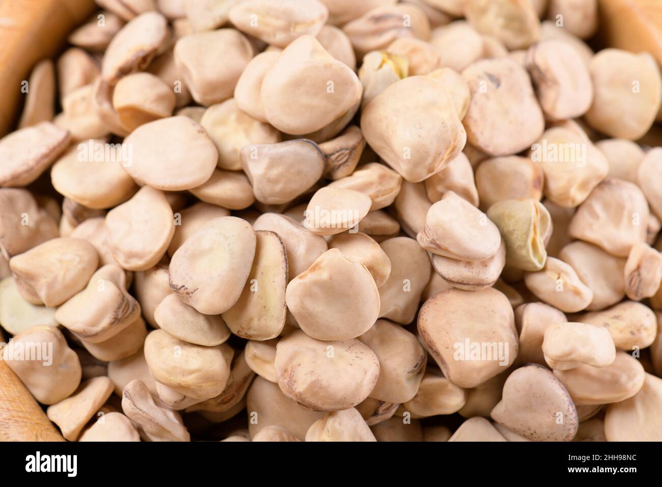 Dry raw cicerchia or indian pea, close up. Legumes known as Lathyrus ...