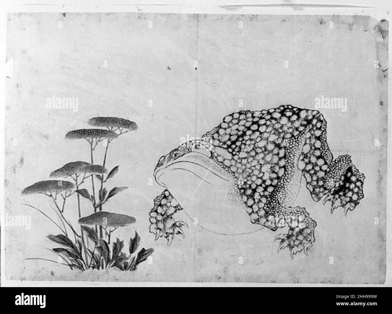 Toad and Flowers 19th century Hokusai School. Toad and Flowers. Hokusai ...
