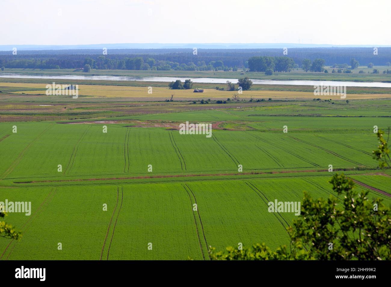 The agricultural landscape of a large lowland European river - the Oder ...