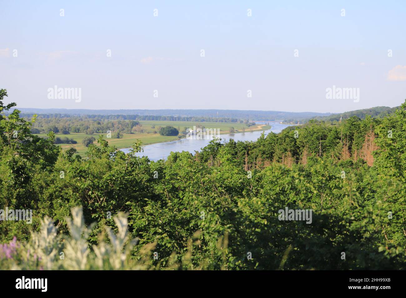 The landscape of a large lowland river in Europe - the Oder Stock Photo ...