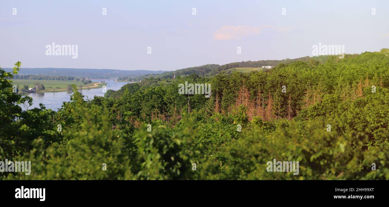 The landscape of a large lowland river in Europe - the Oder Stock Photo ...